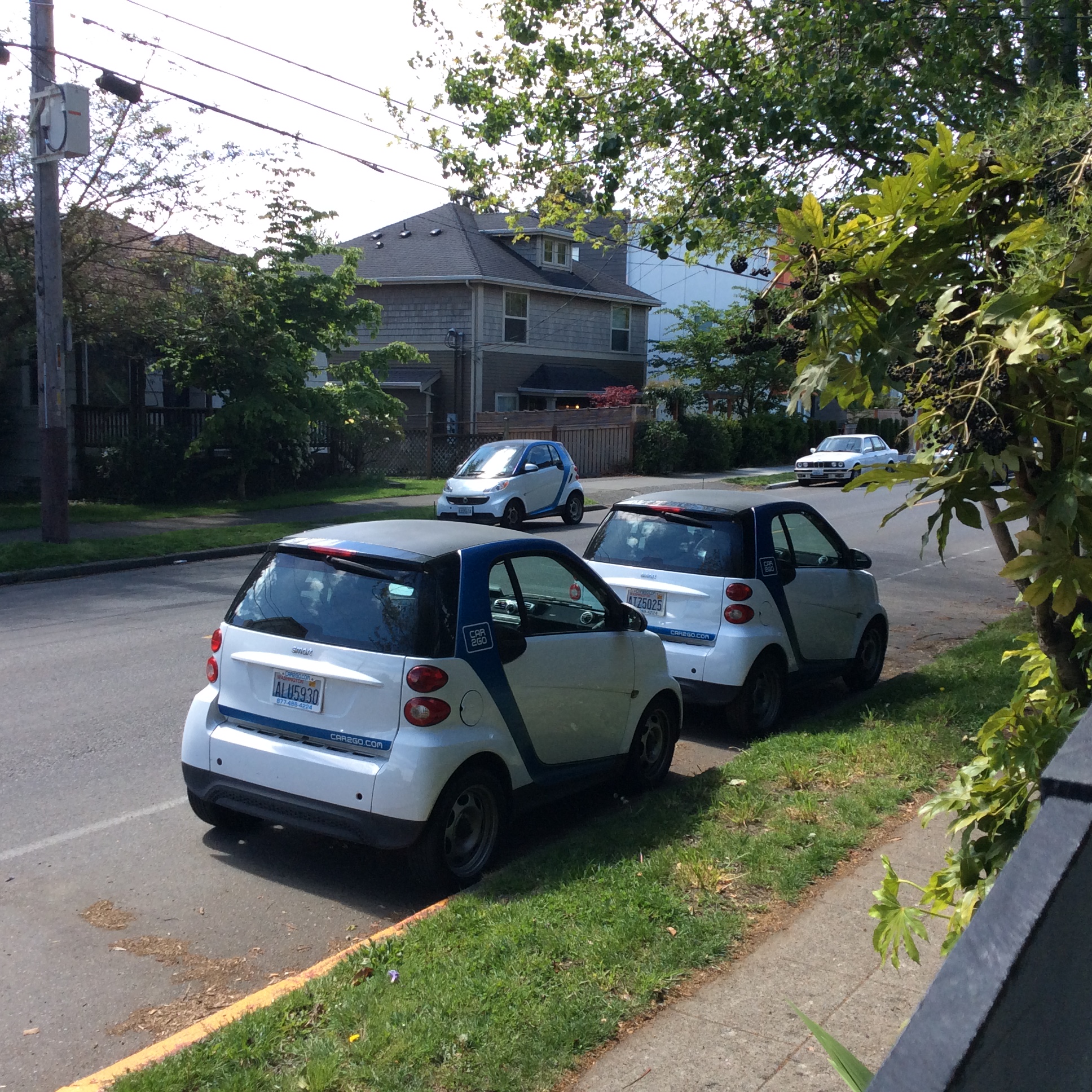 May 2019 – Scott Colburn